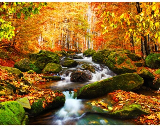 Stunning Fall Colors, Brooke Forest Scene Spectrum Digital Print From ...