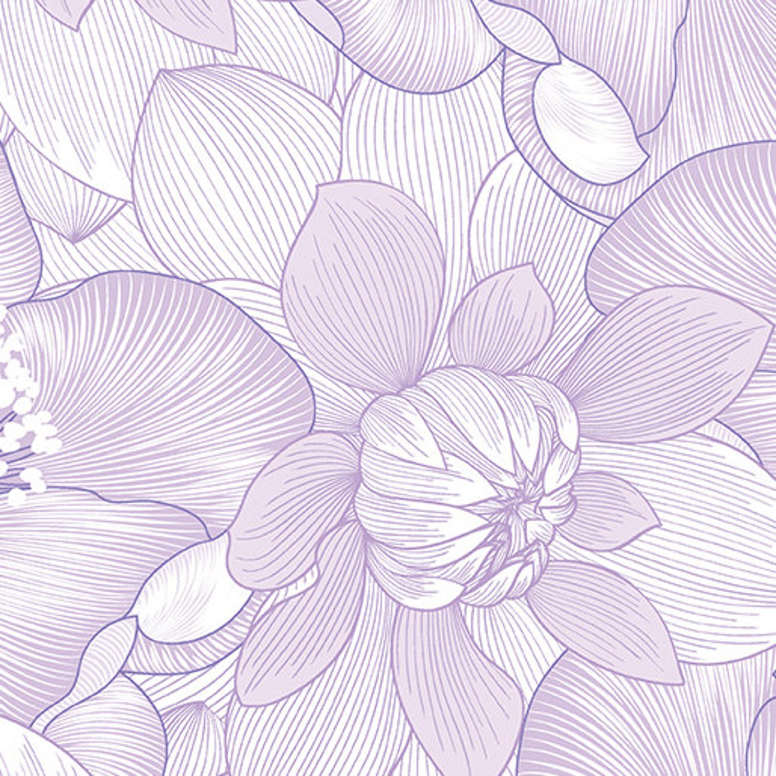 Stunning Mums in a Row Quilt Kit, Beautiful Floral Fabrics, Soft ...
