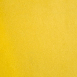 Cuddle® 3 Canary Shannon Cuddle Minky, Quilt Backing, Quilting Fabric ...
