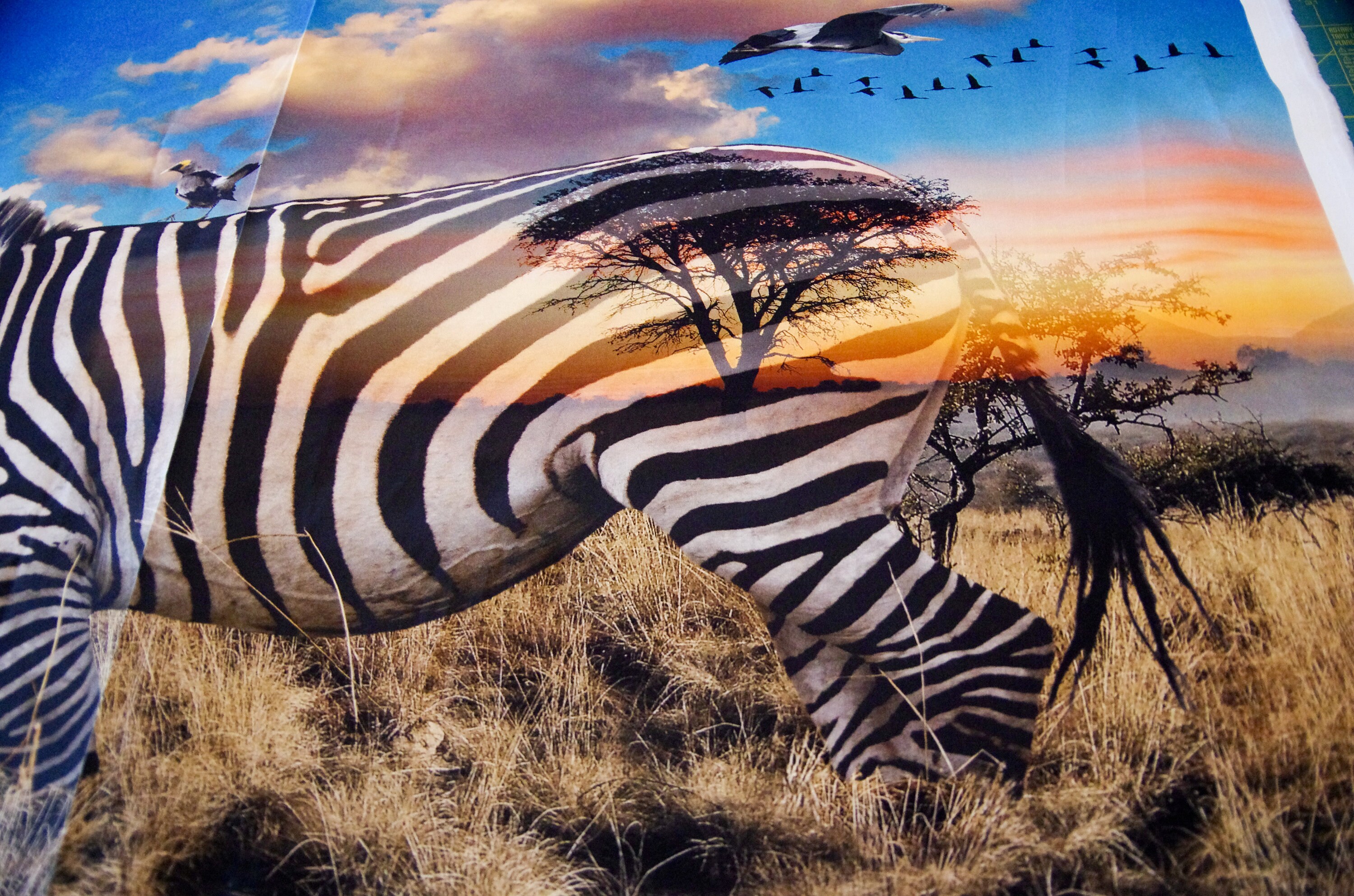 Call of the Wild Zebra Panel Spectrum Digital Print From - Etsy