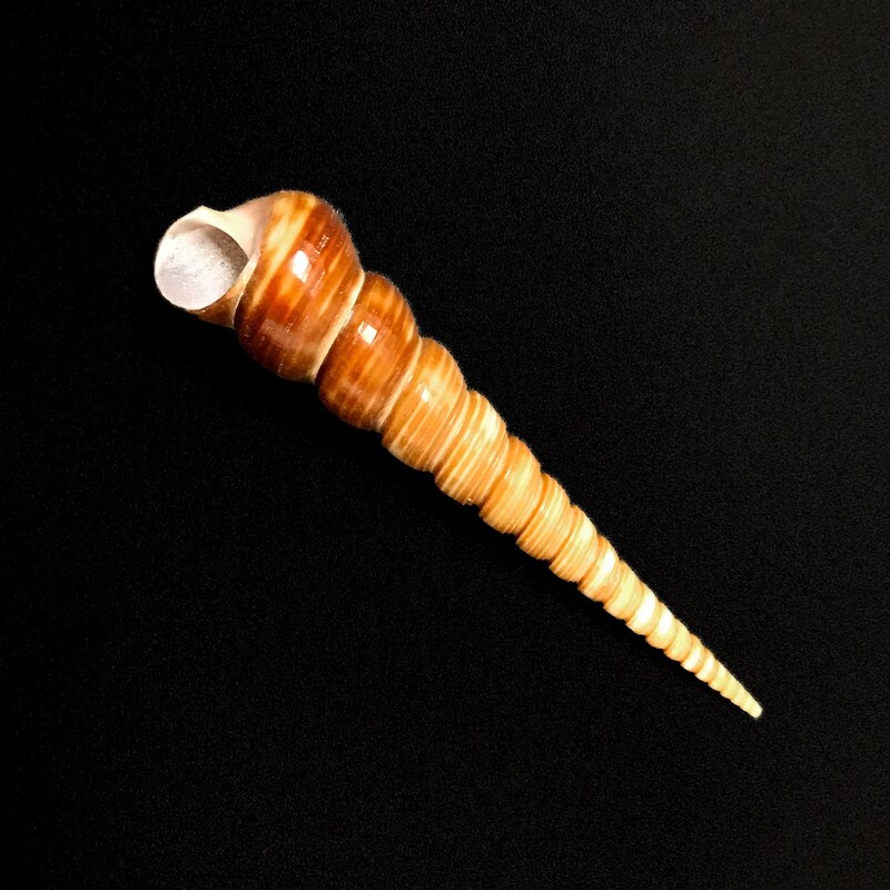Screws - Etsy