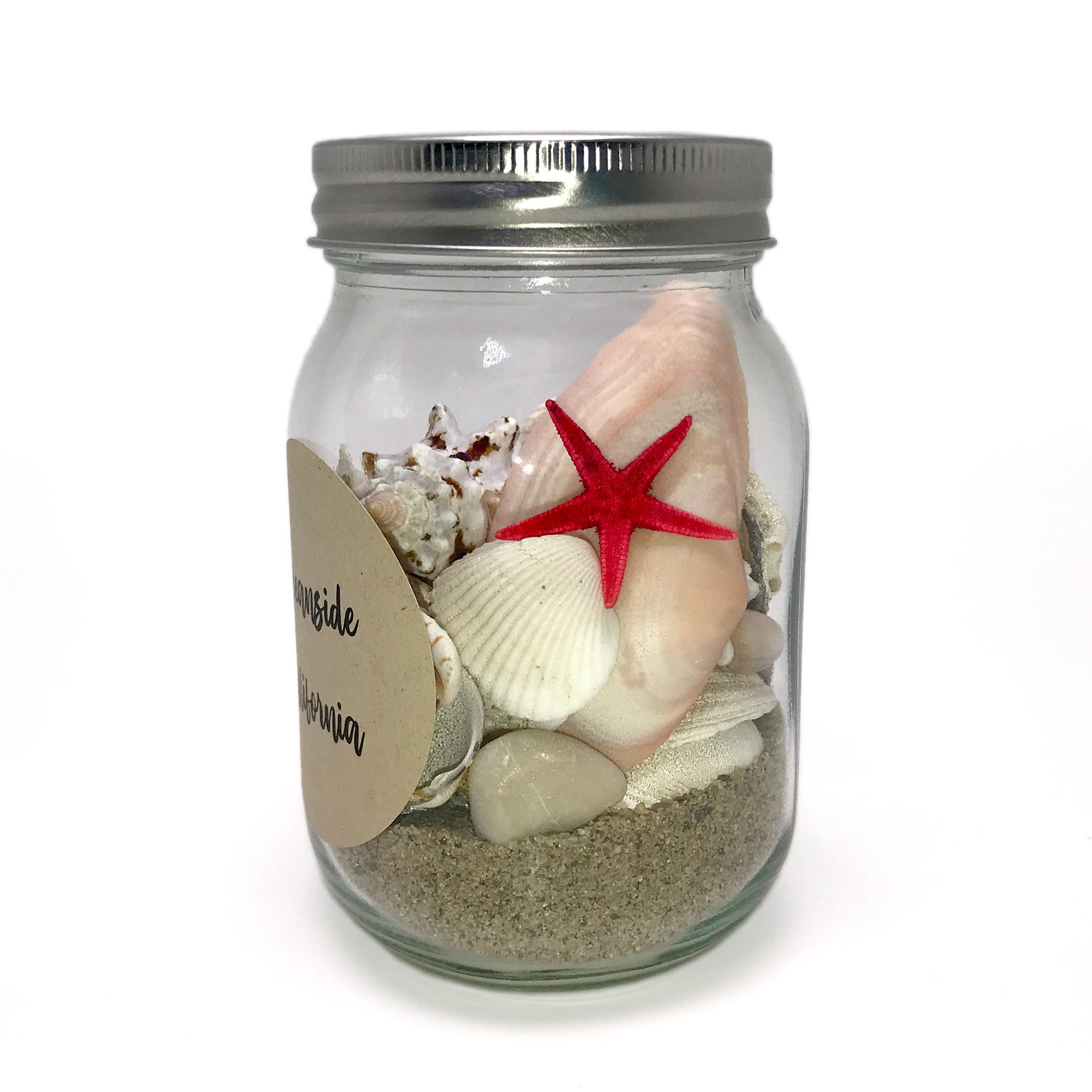 Beach in A Jar Sea Shells Sand Dollars Star Fish Beach Sand - Etsy