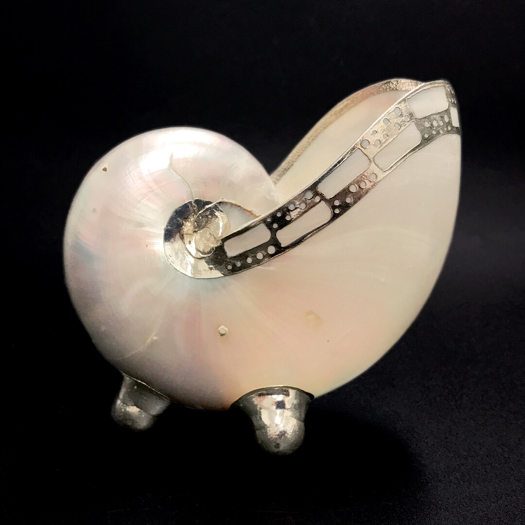 Silver Gilded Pearlized Chambered Nautilus Sea Shell With Display Stand ...