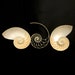 Centre Cut Chambered Nautilus Sea Shell Very Rare Natural Display ...