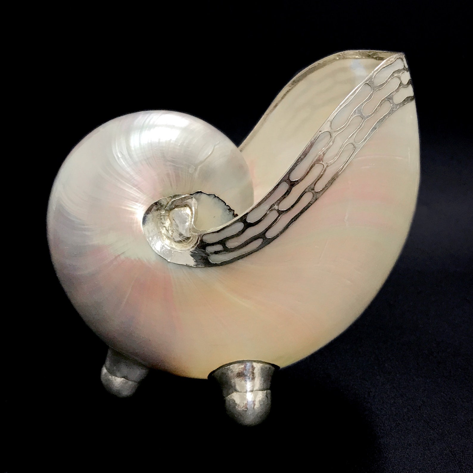 Silver Gilded Pearlized Chambered Nautilus Sea Shell With Display Stand ...