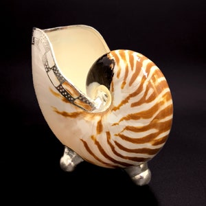 Silver Gilded Large Chambered Nautilus Sea Shell With Leg Stand Rare ...