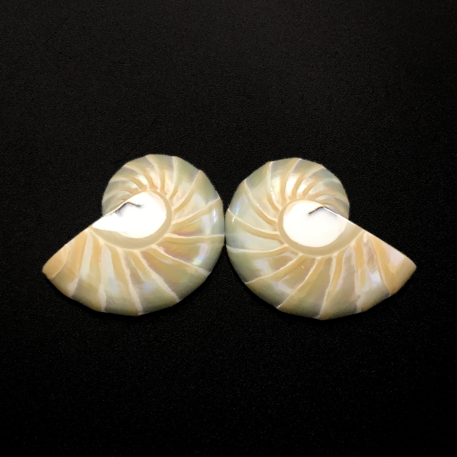 Nautilus Tiger Eye Half Cut Grooved Pair 40mm - 45mm Polished Cabochons ...