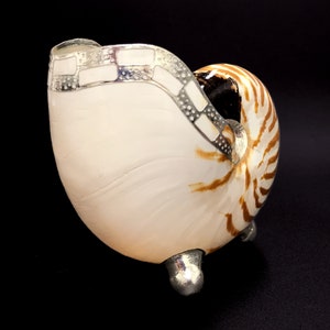 Silver Gilded Large Chambered Nautilus Sea Shell With Leg Stand Rare ...