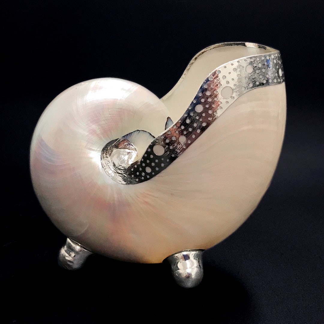 Silver Gilded Pearlized Chambered Nautilus Sea Shell With Display Stand ...