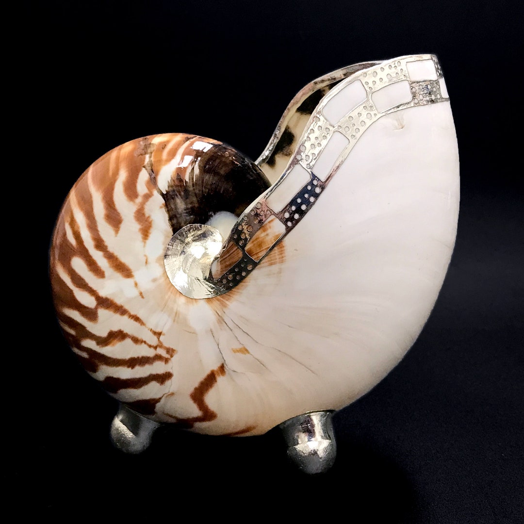 Silver Gilded Large Chambered Nautilus Sea Shell With Leg Stand Rare ...