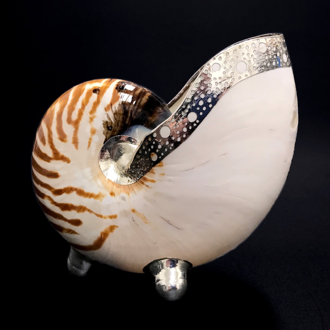 Silver Gilded Large Chambered Nautilus Sea Shell With Leg Stand Rare ...