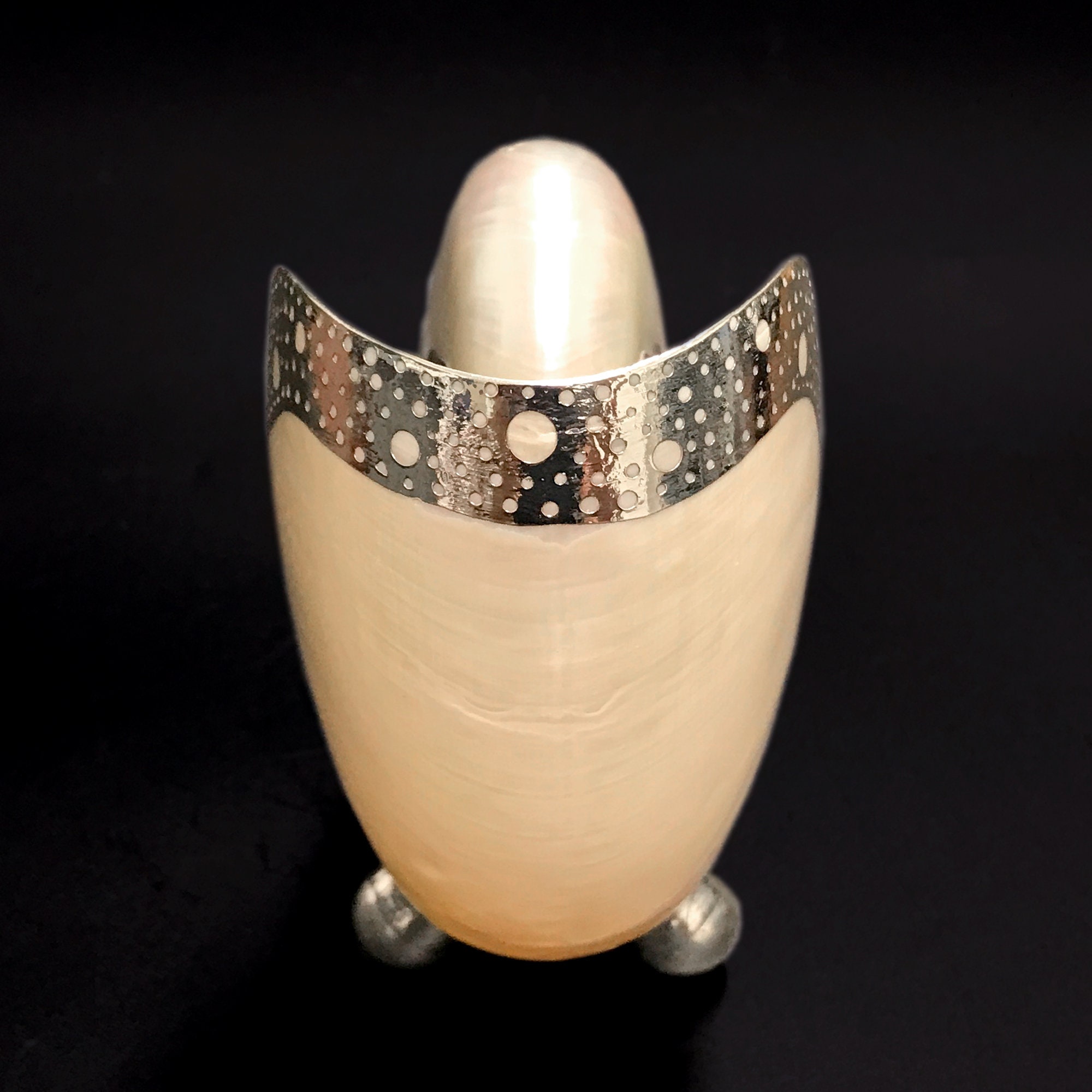 Silver Gilded Pearlized Chambered Nautilus Sea Shell With Display Stand ...