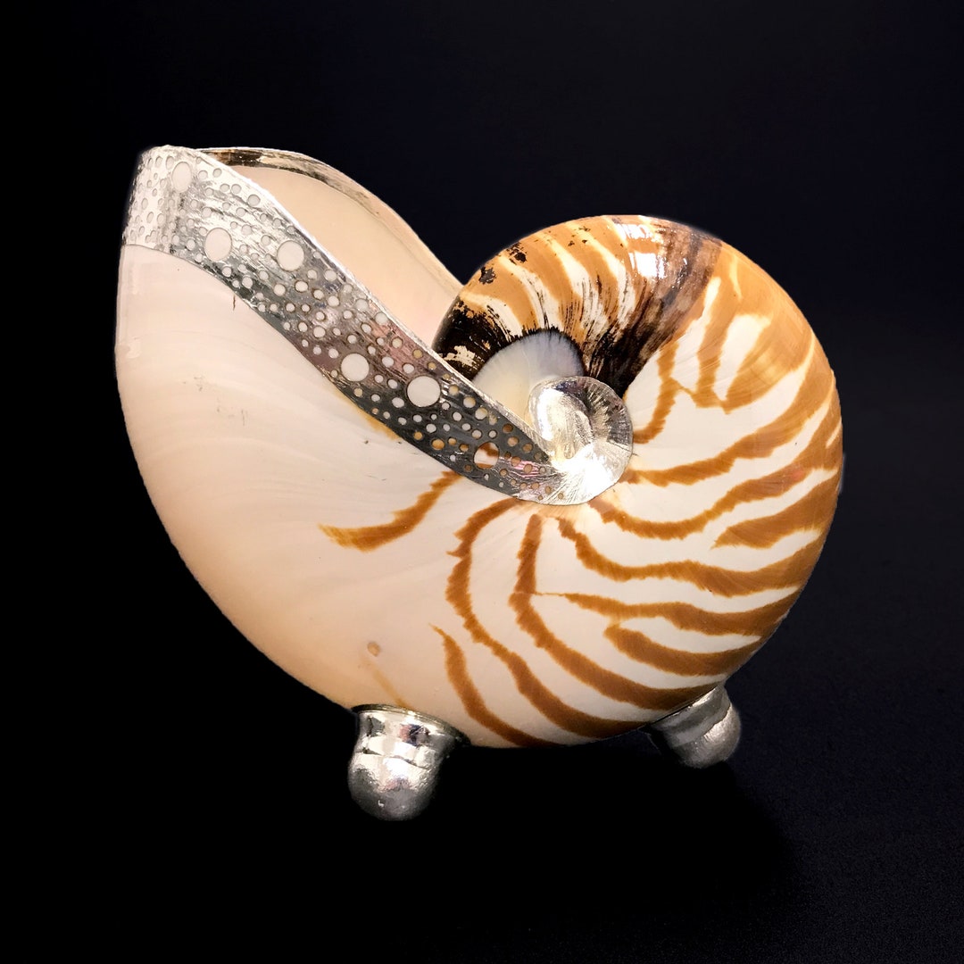 Silver Gilded Large Chambered Nautilus Sea Shell With Leg Stand Rare ...