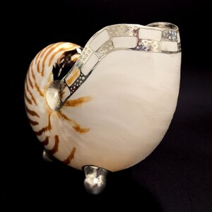 Silver Gilded Large Chambered Nautilus Sea Shell With Leg Stand Rare ...