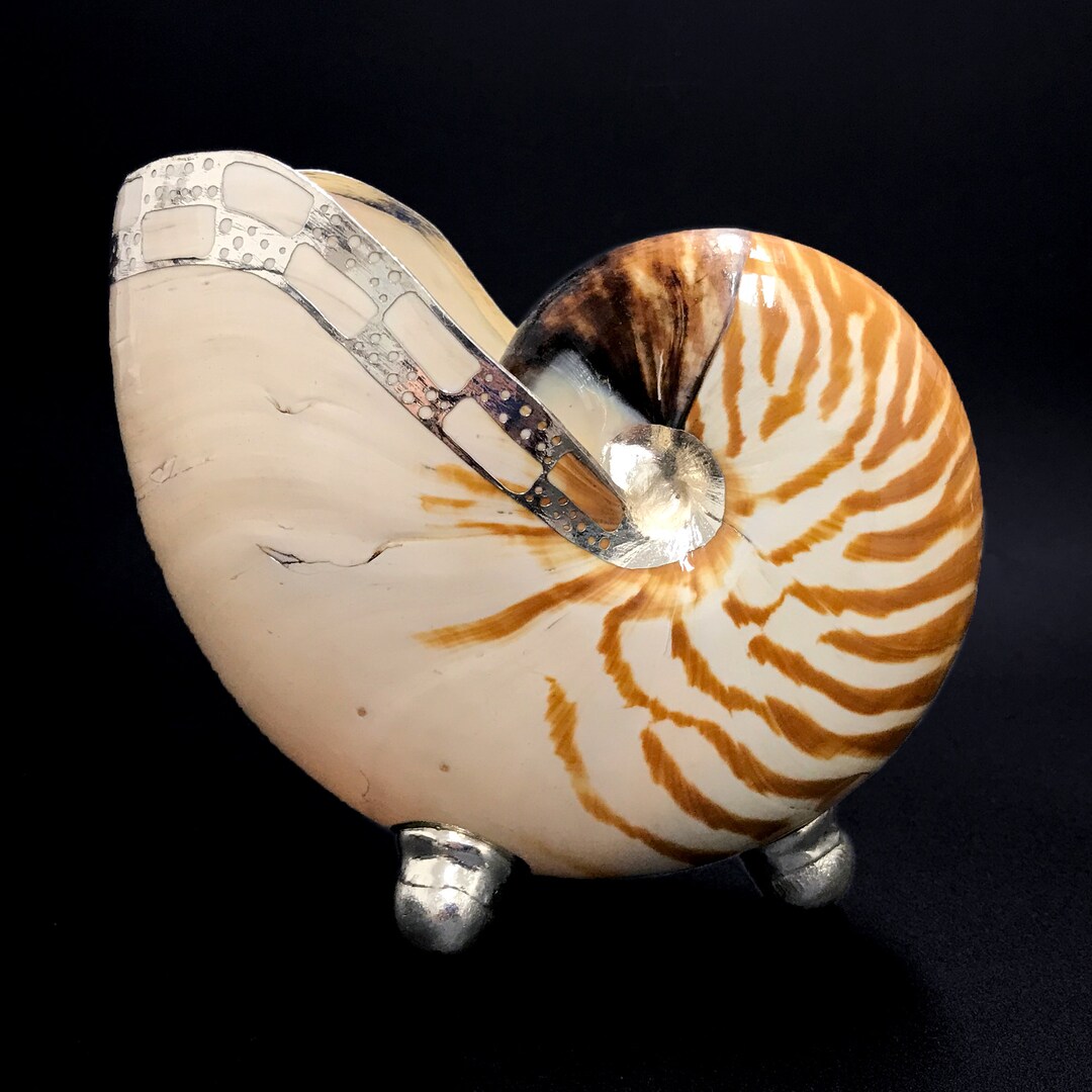 Silver Gilded Large Chambered Nautilus Sea Shell With Leg Stand Rare ...