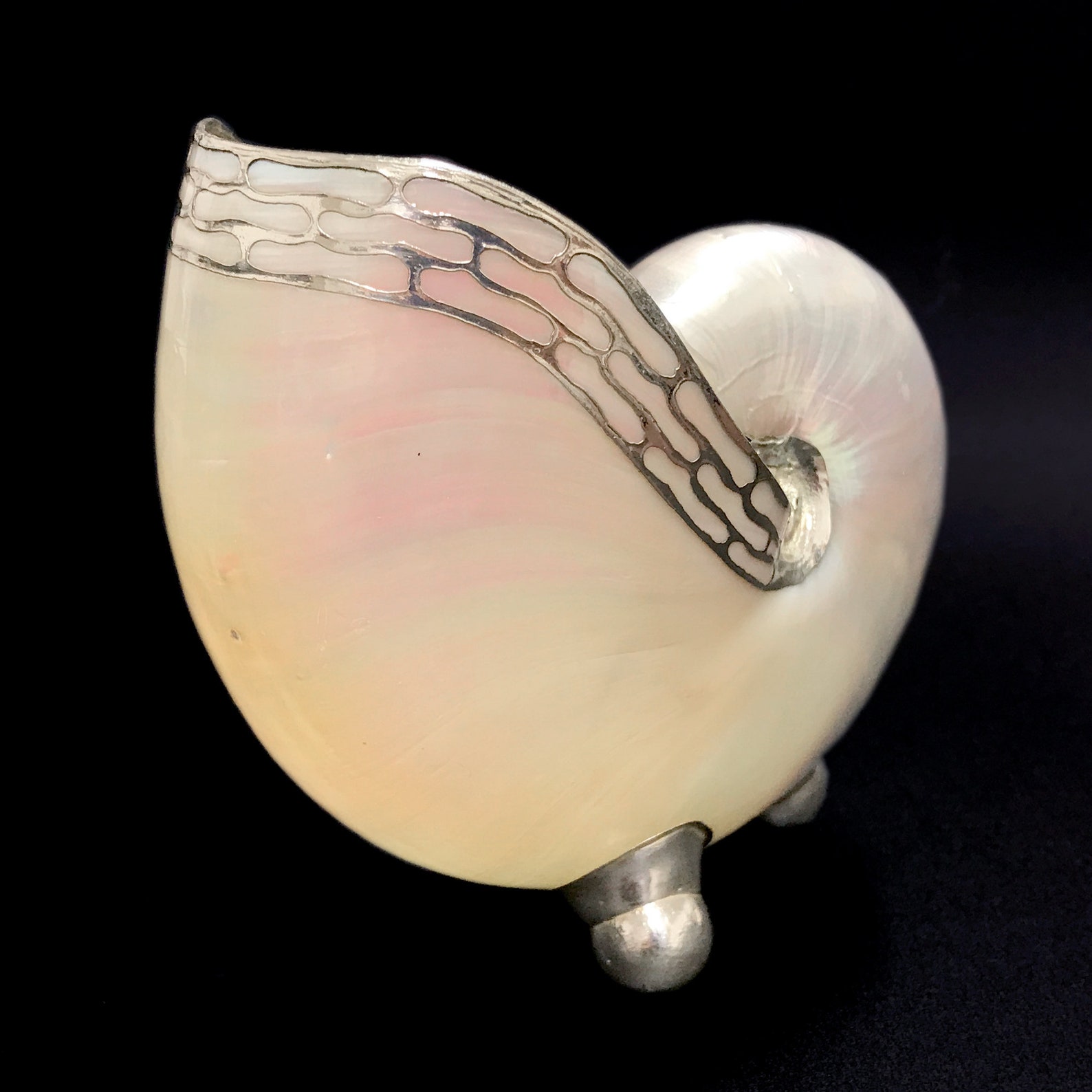 Silver Gilded Pearlized Chambered Nautilus Sea Shell With Display Stand ...