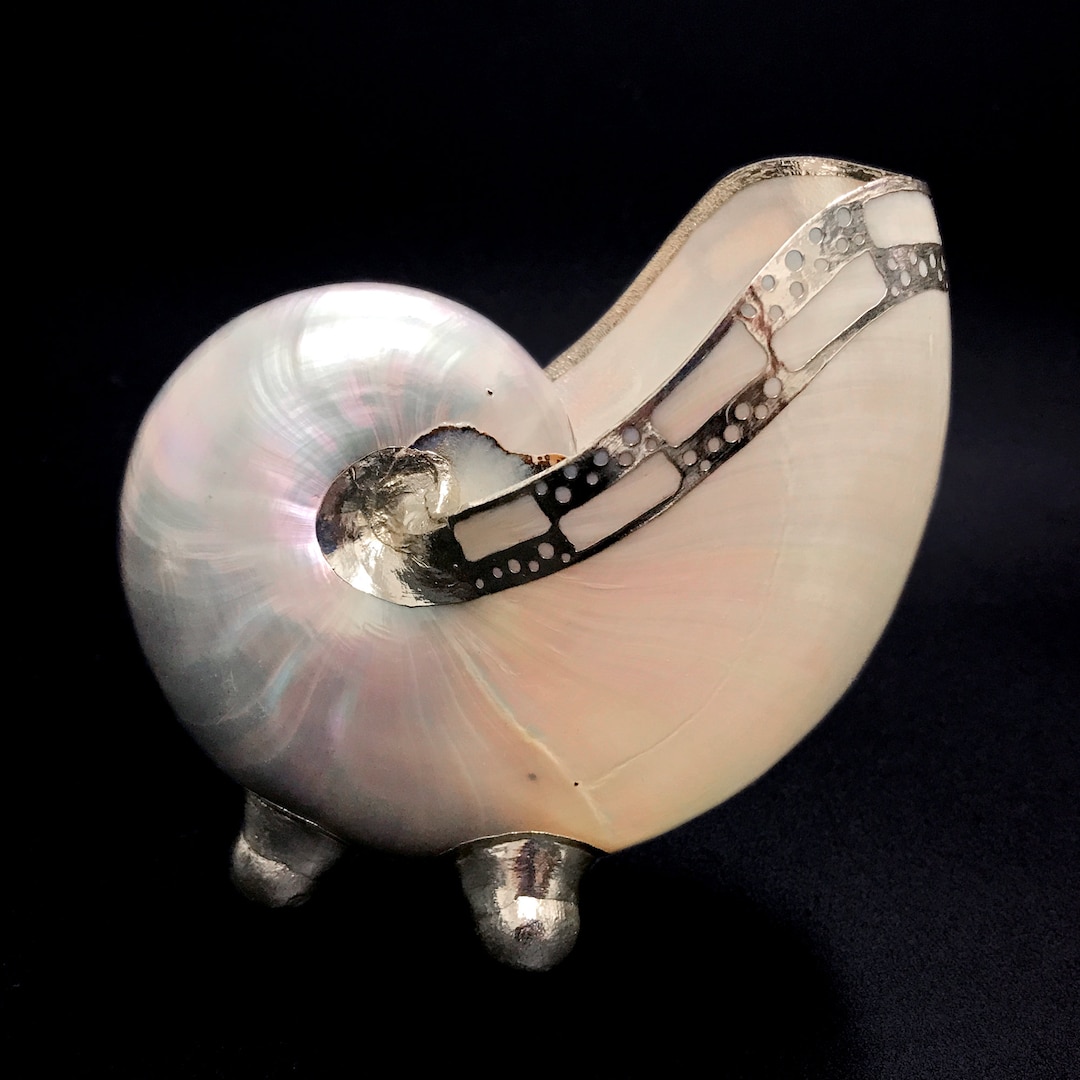 Silver Gilded Pearlized Chambered Nautilus Sea Shell With Display Stand ...
