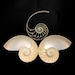 Centre Cut Chambered Nautilus Sea Shell Very Rare Natural Display ...