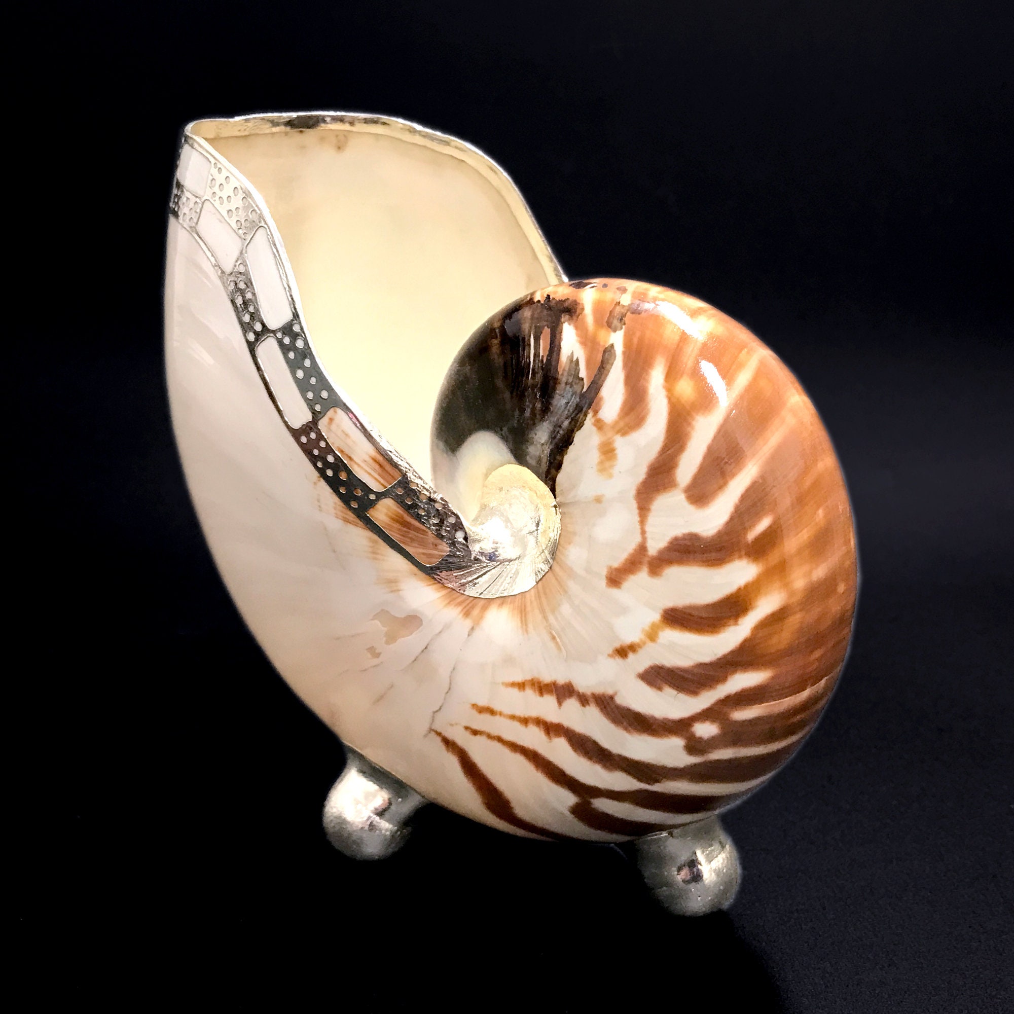 Silver Gilded Large Chambered Nautilus Sea Shell With Leg Stand Rare ...