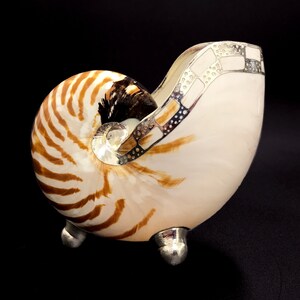 Silver Gilded Large Chambered Nautilus Sea Shell With Leg Stand Rare ...