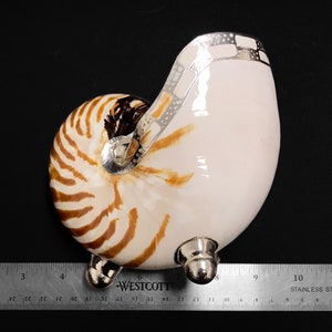 Silver Gilded Large Chambered Nautilus Sea Shell With Leg Stand Rare ...