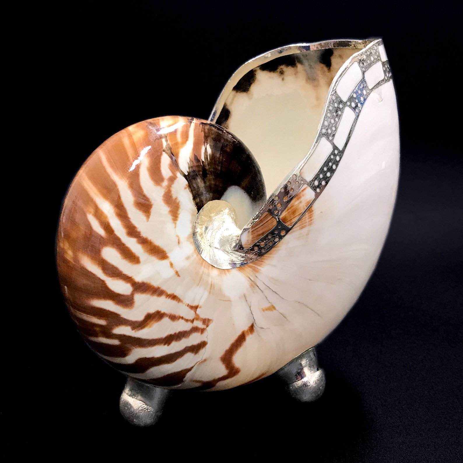 Silver Gilded Large Chambered Nautilus Sea Shell With Leg Stand Rare ...