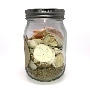 Beach in A Jar - Sea Shells Sand Dollars Star Fish Beach Sand Beach ...