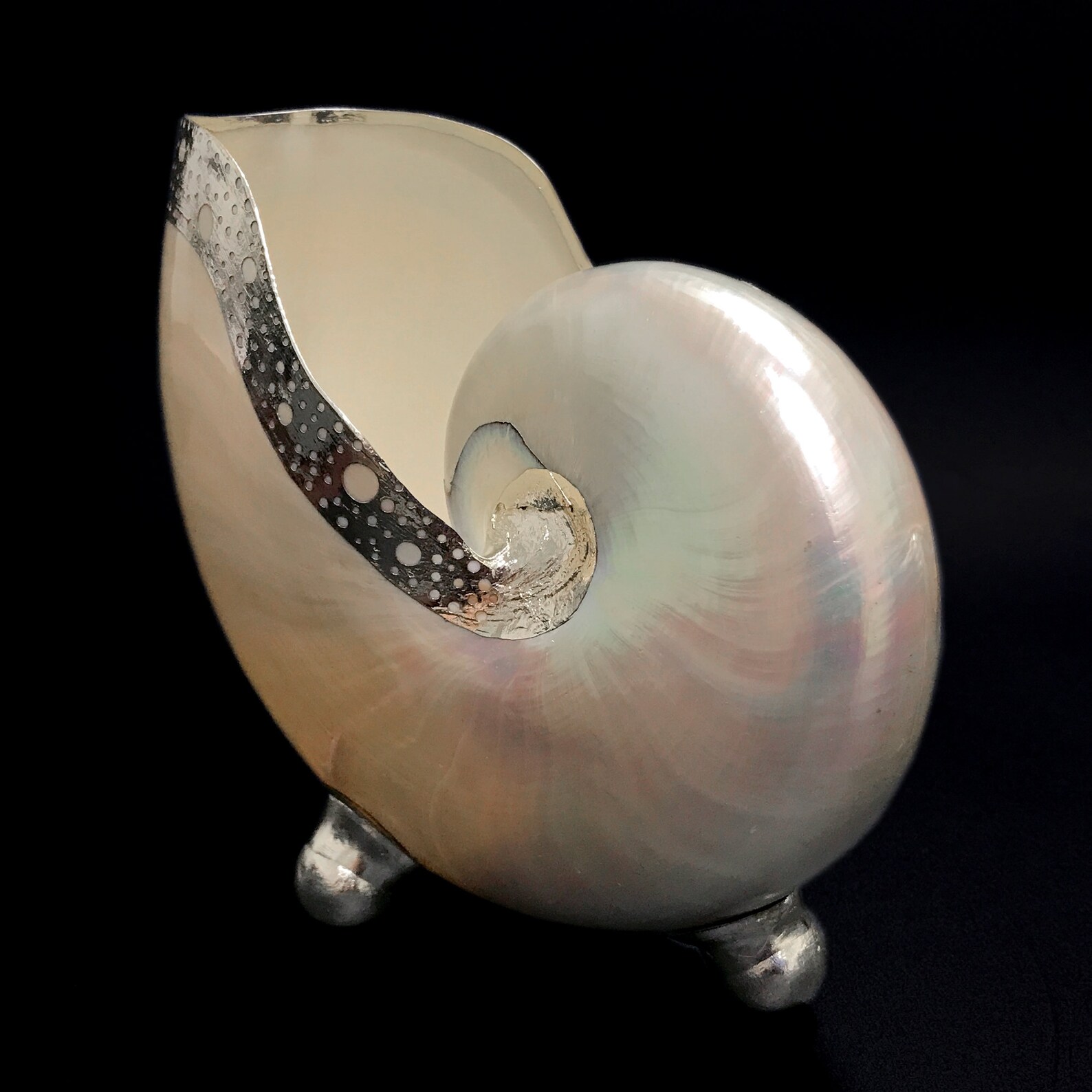 Silver Gilded Pearlized Chambered Nautilus Sea Shell With Display Stand ...