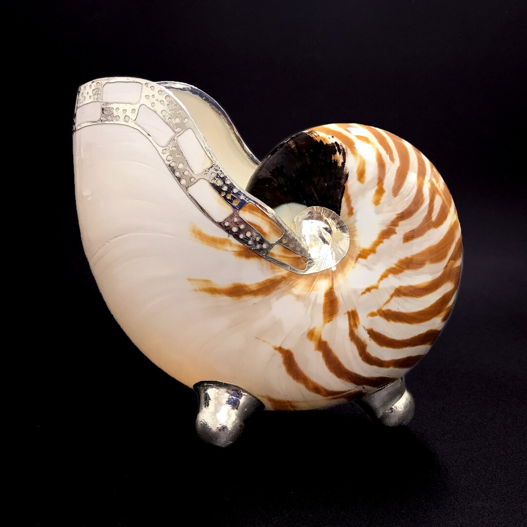 Silver Gilded Large Chambered Nautilus Sea Shell With Leg Stand Rare ...