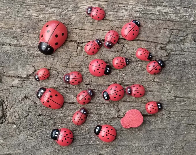 Assorted Size Ladybugs for Crafts and Wood Craft Projects - Package of ...