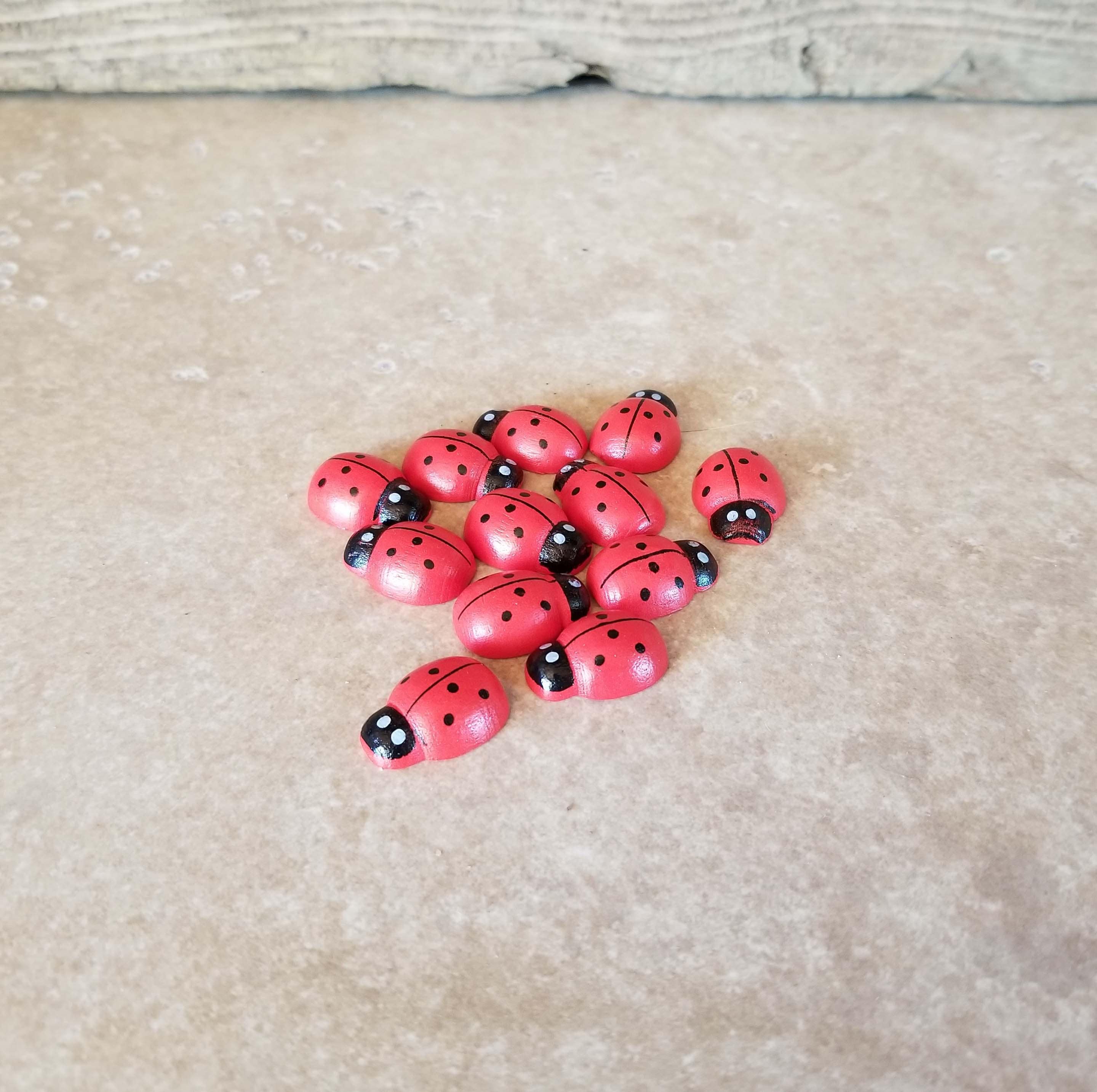 Large Wooden Ladybugs for Crafts and Wood Craft Projects - Etsy