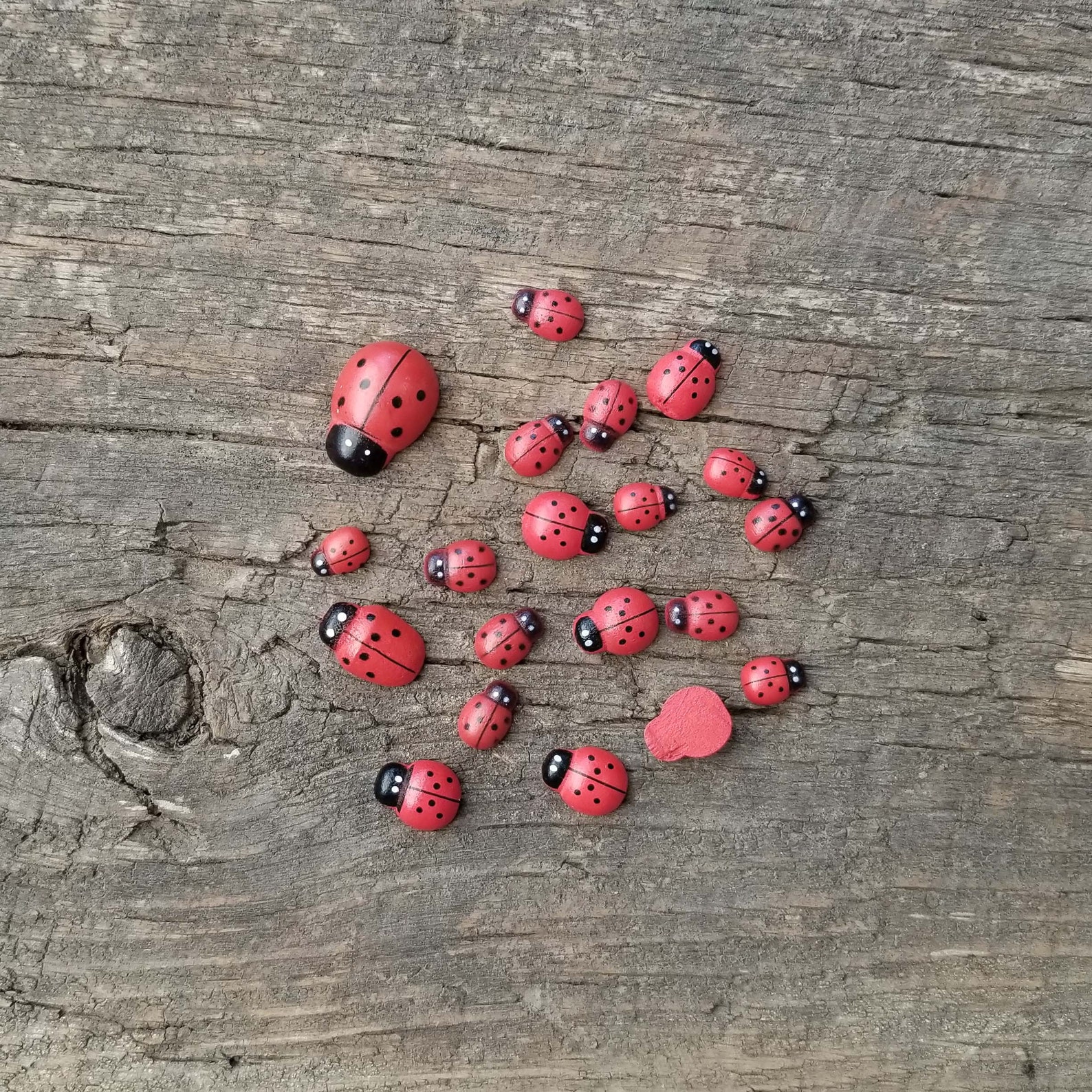 Assorted Size Ladybugs for Crafts and Wood Craft Projects - Etsy
