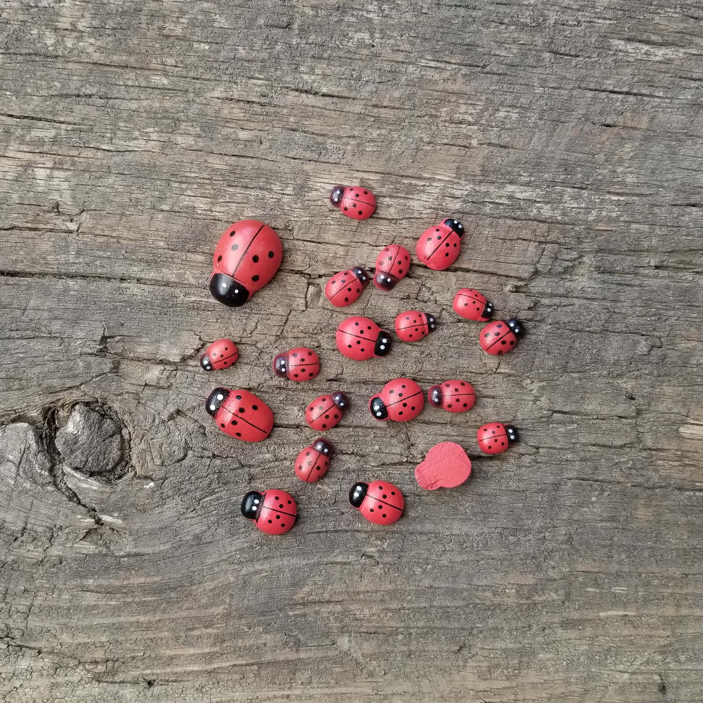 Assorted Size Ladybugs for Crafts and Wood Craft Projects - Etsy