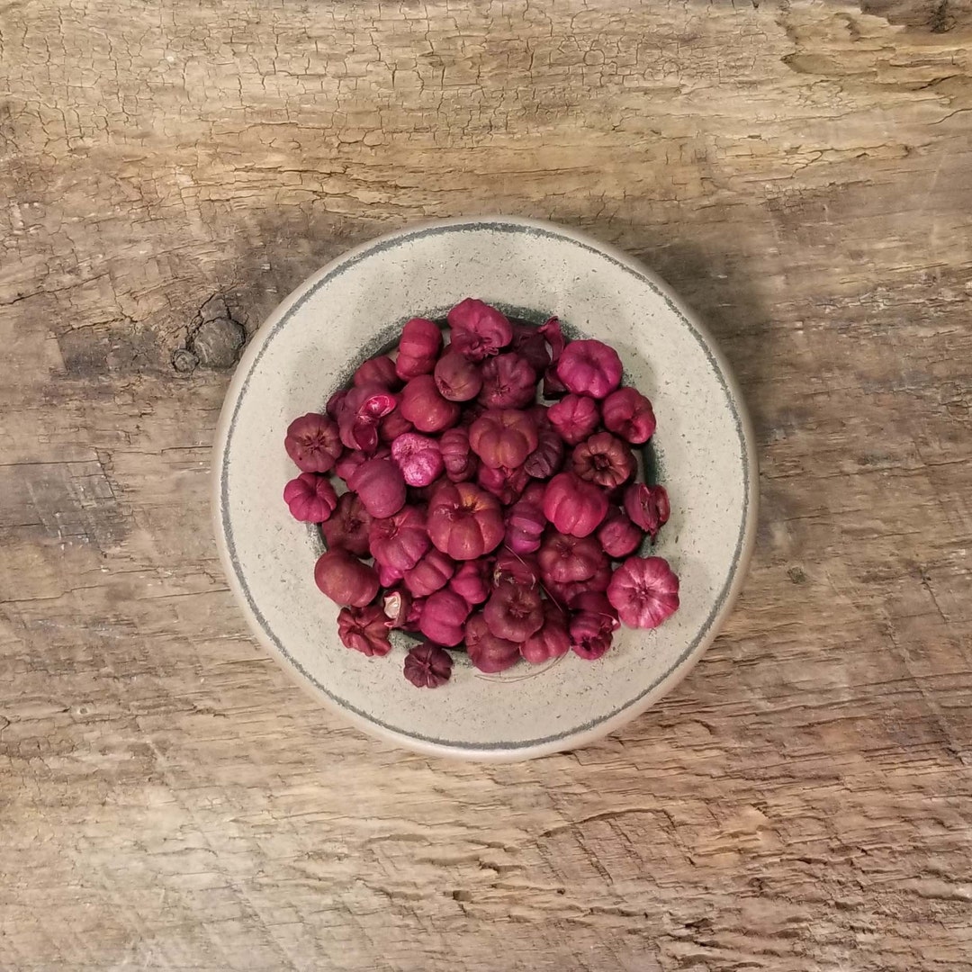 Dried Deep Burgundy Red Putka Pods - Approximately 1 Cup per Package ...