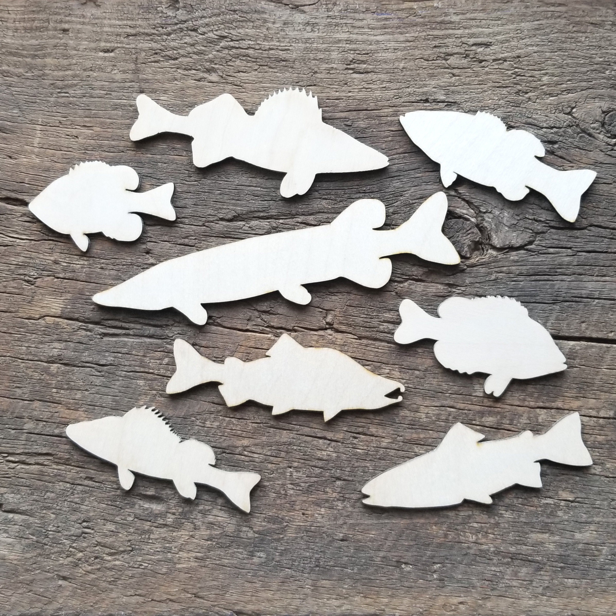 Fantastic "freshwater Fish" 1/8" Thick Wood Laser Cutouts Assortment ...