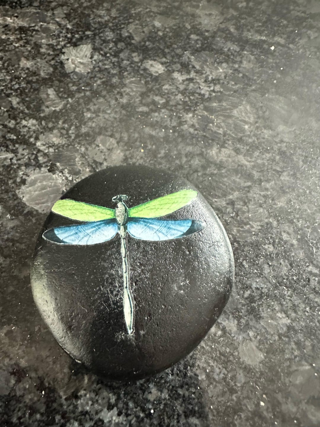 Dragonfly Rock - Etsy