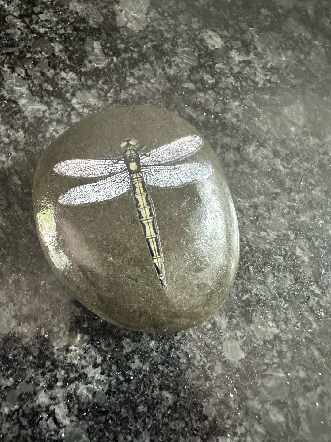 Dragonfly Rock - Etsy