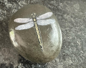 Quilt Patterned Dragonfly Painted Rock SEALED Find Your Magic - Etsy