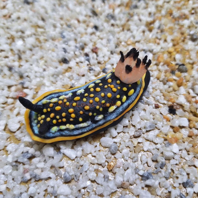 Ercolania Homoassbear Sea Slug - Etsy Australia