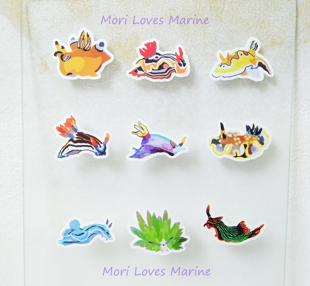 Nudibranch Sticker, Waterproof Sticker, Gift, Sea Slugs Sticker ...