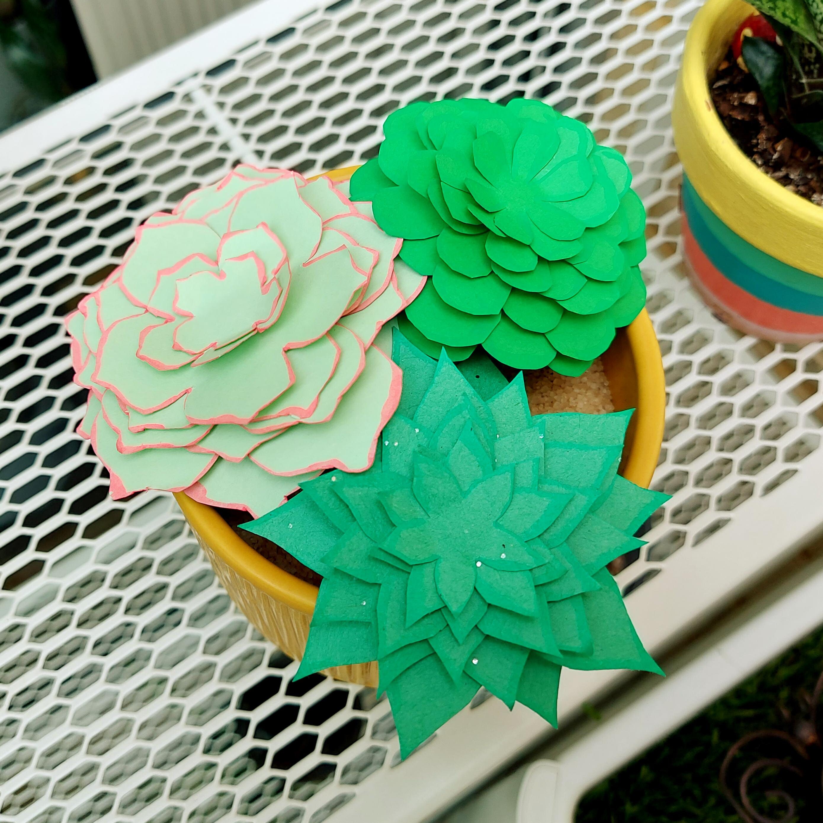Paper Succulents Printable Download Papercraft Office Home - Etsy