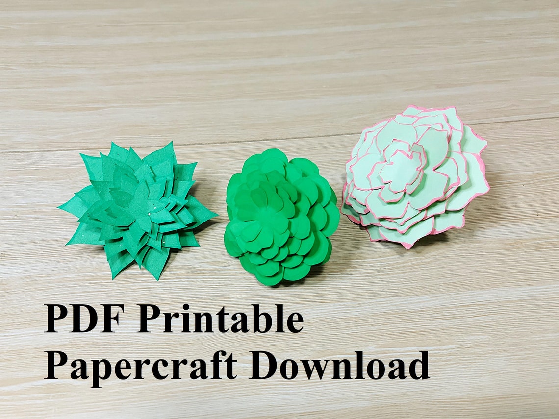 Paper Succulents Printable Download Papercraft Office Home - Etsy