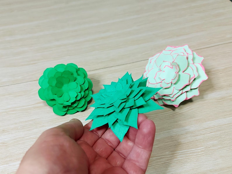 Paper Succulents Printable Download Papercraft Office Home - Etsy