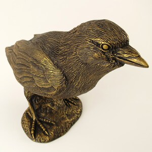 Jackdaw - Etsy