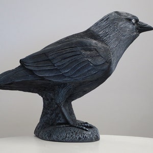 Jackdaw Bird Statue Hand Cast Resin Figurine - Etsy