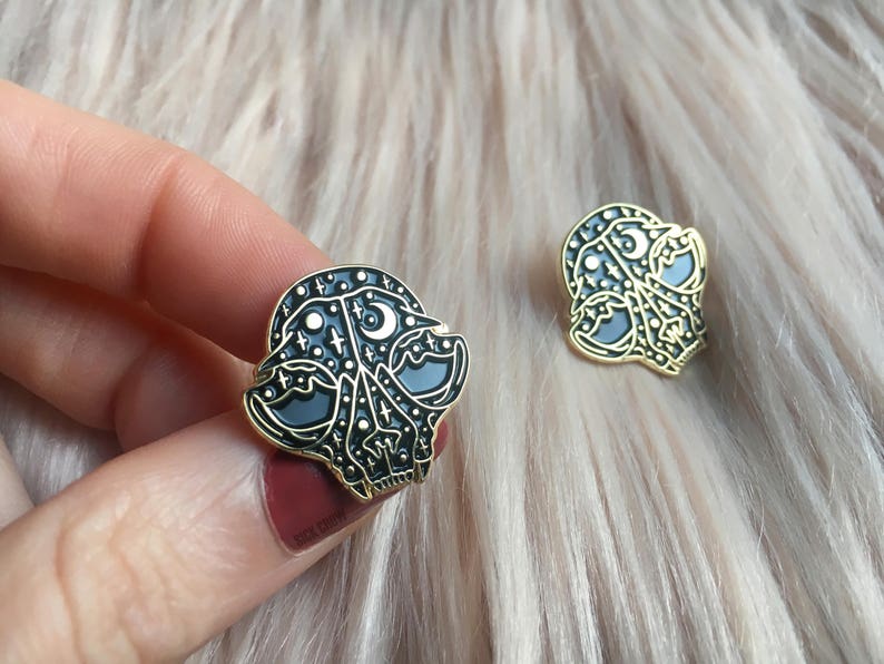 SKULL COSMIC CAT Enamel Pin Cat Pin Cats Skullsskeleton - Etsy Canada