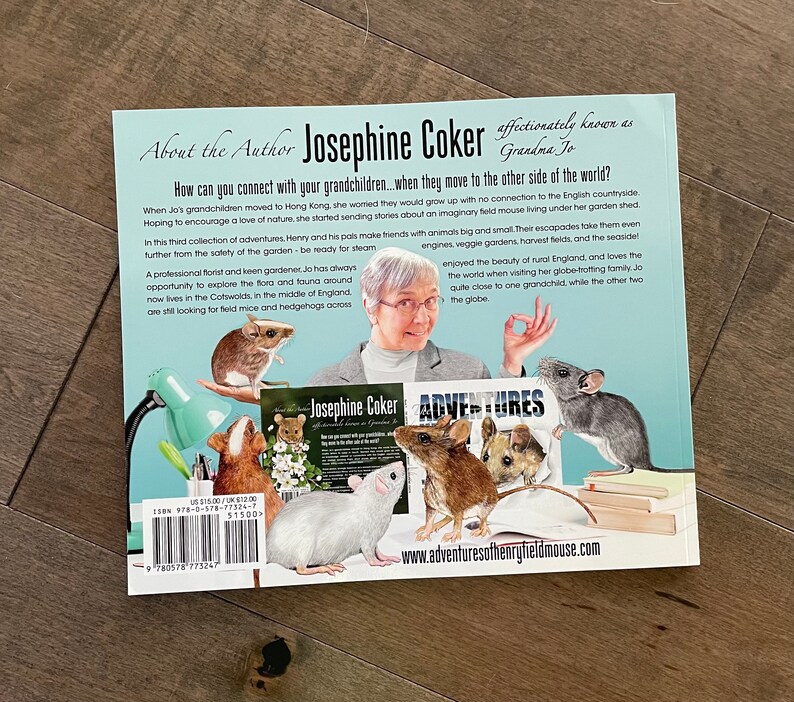 Illustrated Childrens Book, Mouse Adventures, Making Friends, Gift for ...