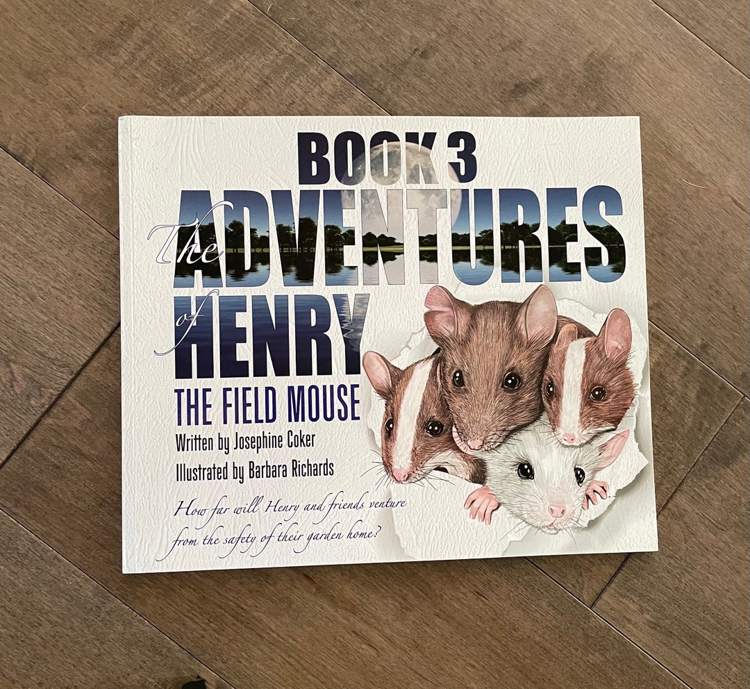 Illustrated Childrens Book, Mouse Adventures, Making Friends, Gift for ...