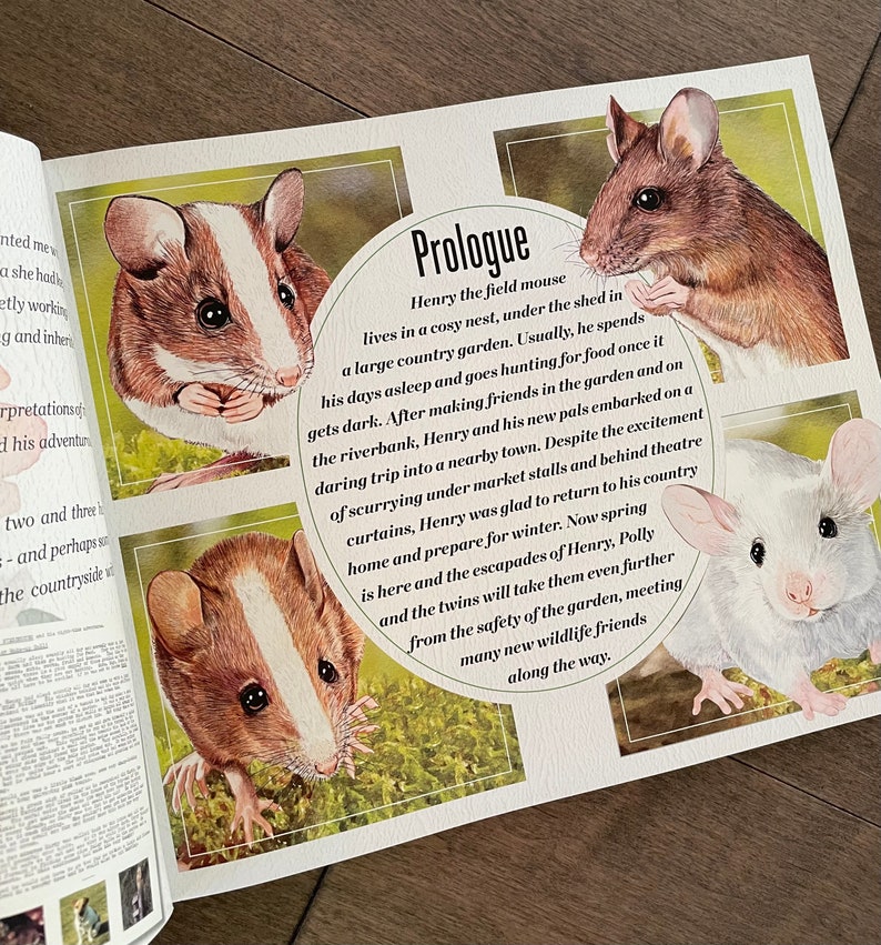Illustrated Childrens Book, Mouse Adventures, Making Friends, Gift for ...