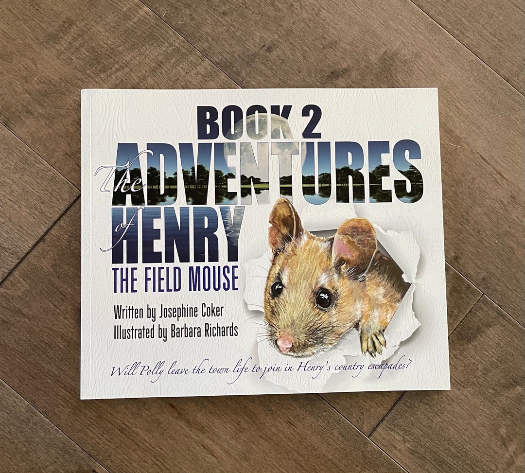 Illustrated Childrens Book Mouse Adventures Making Friends - Etsy